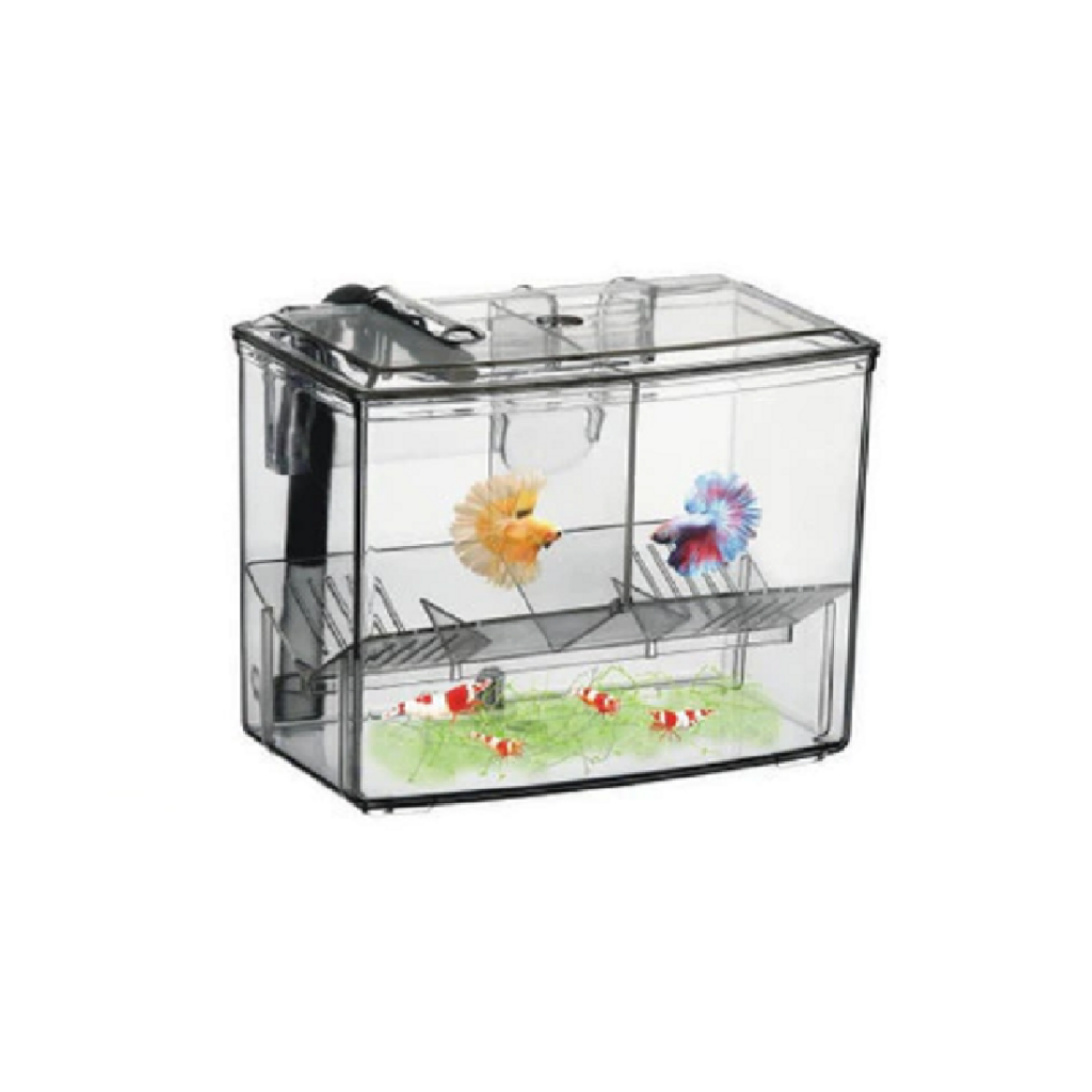 External Hang-On Breeding Box – ShrimpCity