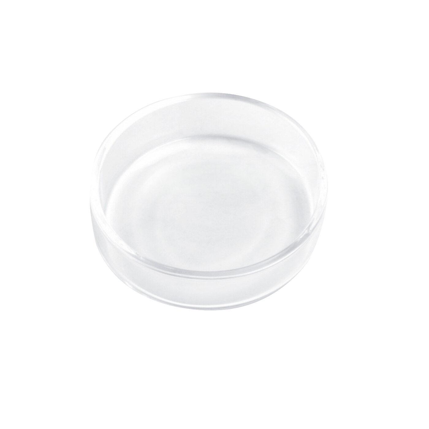 Feeding Dishes | ShrimpCity